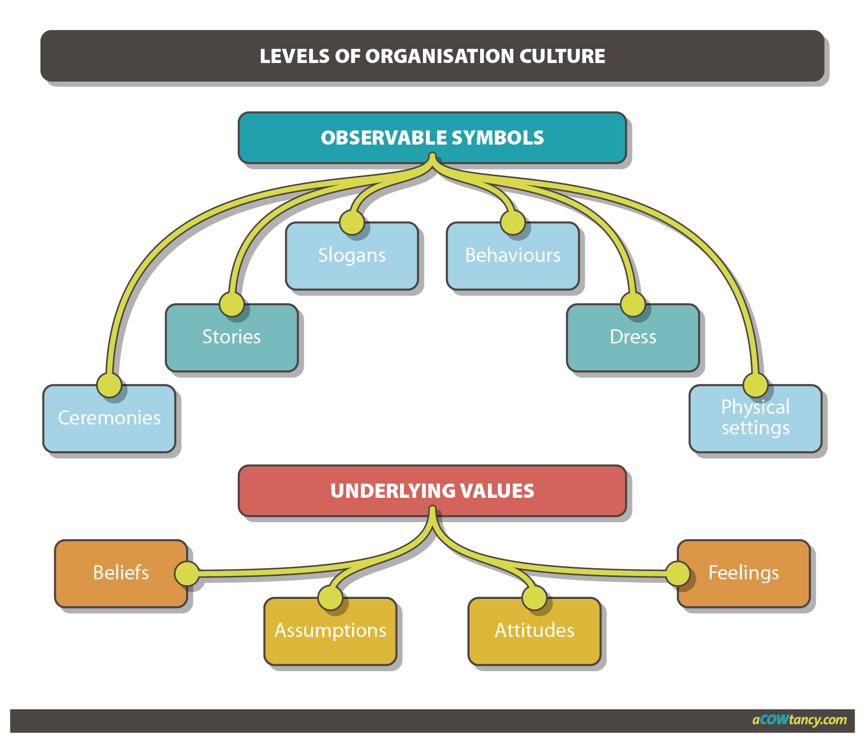 ACCA BT Notes: B3. Contribution on Culture | aCOWtancy Textbook