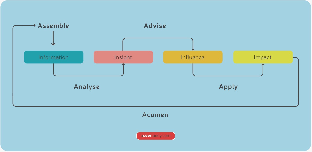 CIMA E1 Notes: A2. Information To Impact Framework | aCOWtancy Textbook