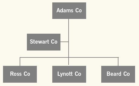 ACCA AAA (INT) Past Papers: D1b. Components of Audit Risk | aCOWtancy ...