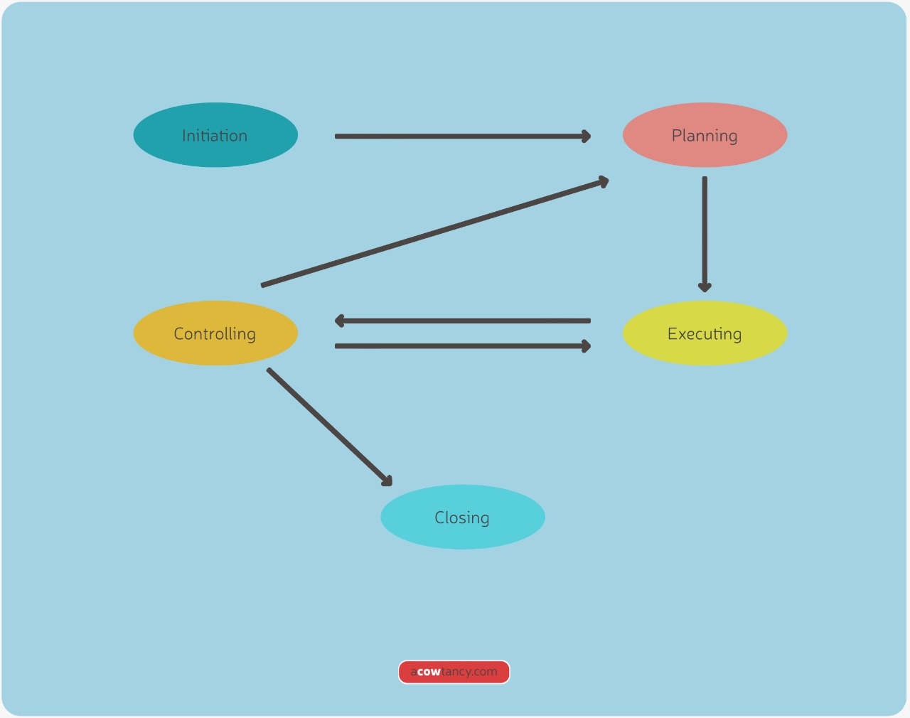 CIMA E2 Notes: C1. The Five Process Areas | aCOWtancy Textbook