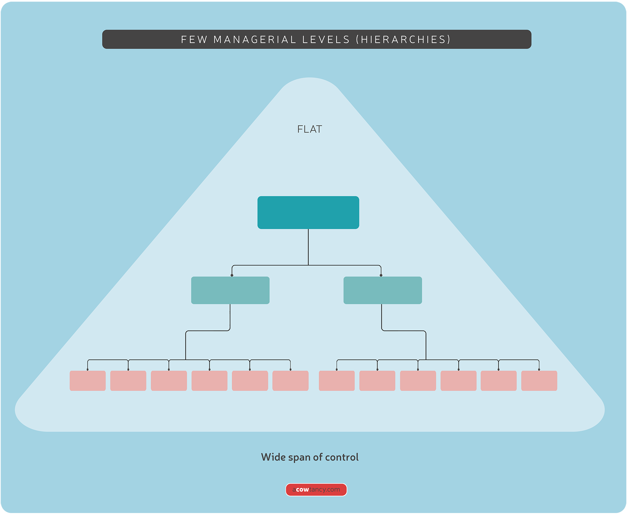 CIMA E1 Notes: D1. Tall and Flat Organisations | aCOWtancy Textbook