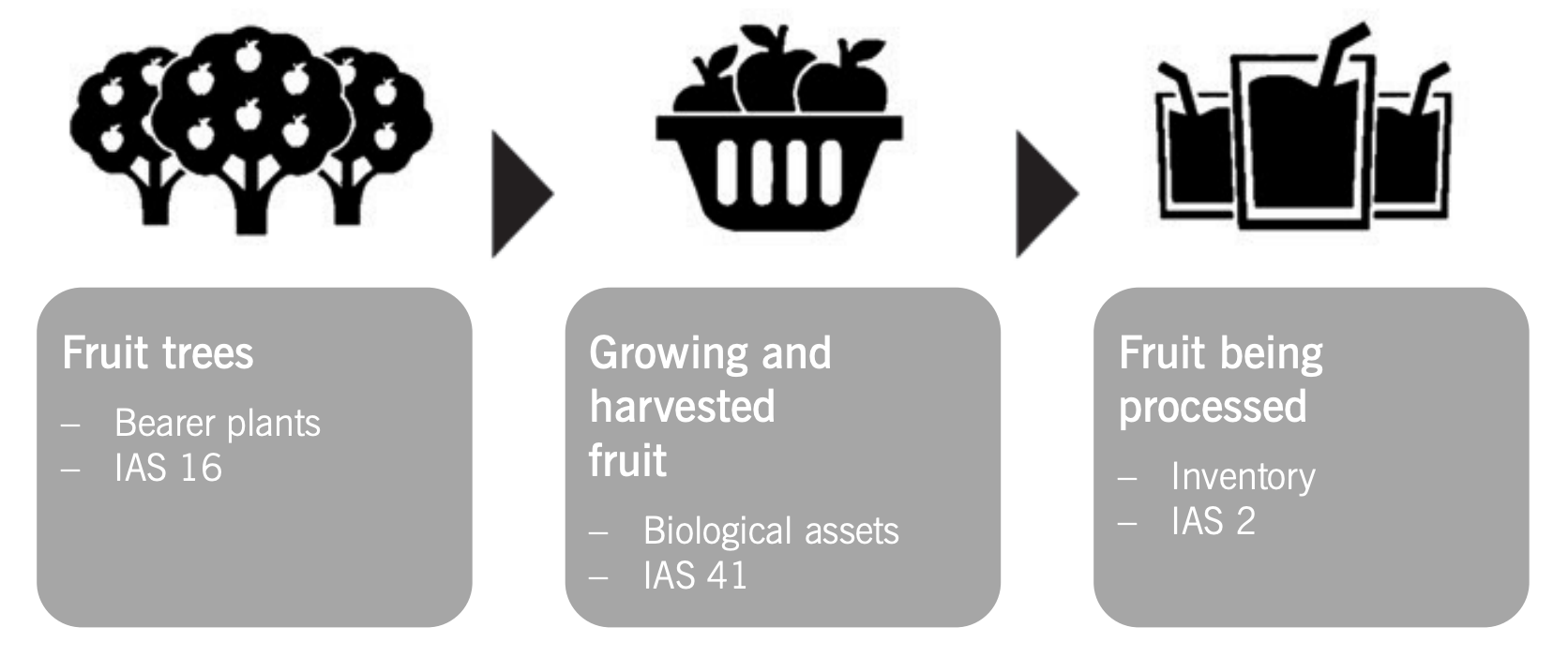 ACCA AAA (INT) Past papers - Question 1b i ii - June 2019 | aCOWtancy ...