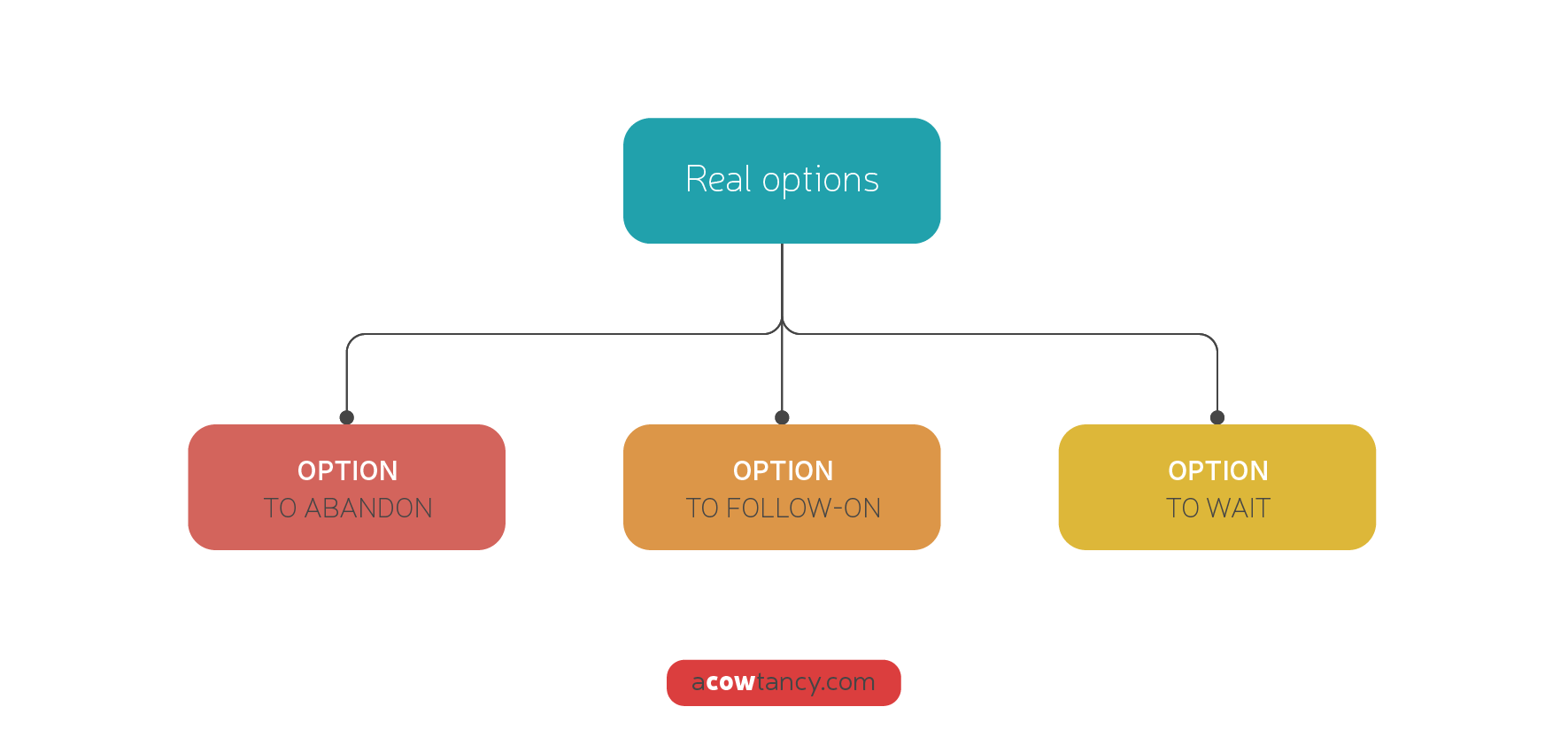 CIMA P2 Notes: Capital investment real options | aCOWtancy Textbook